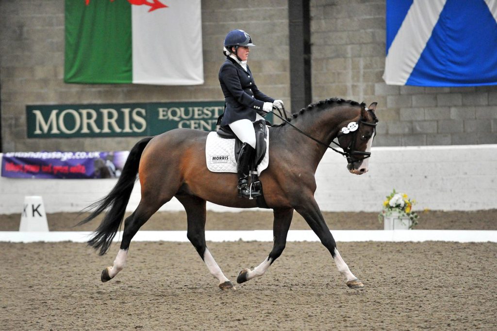 Events from April 10 – April 25 – Morris Equestrian